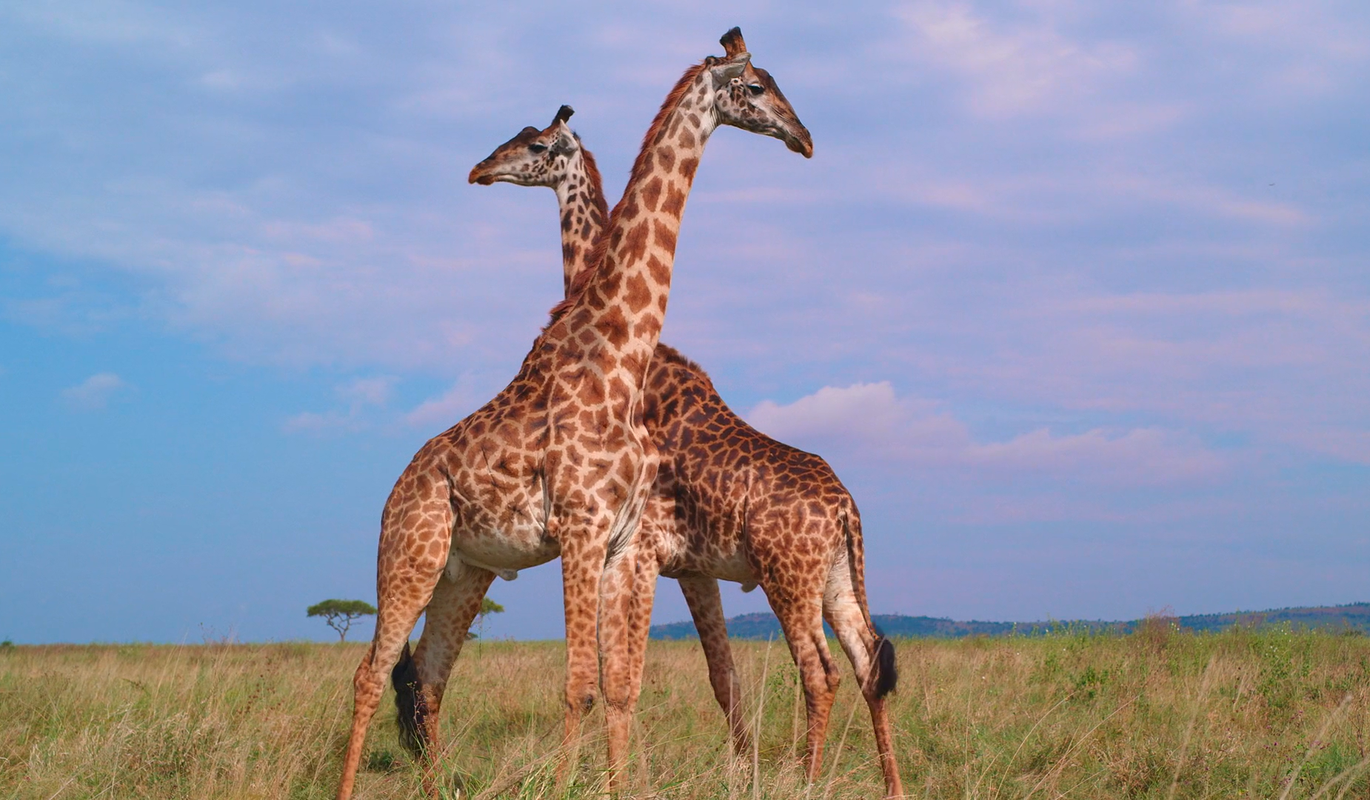 TELUS World of Science